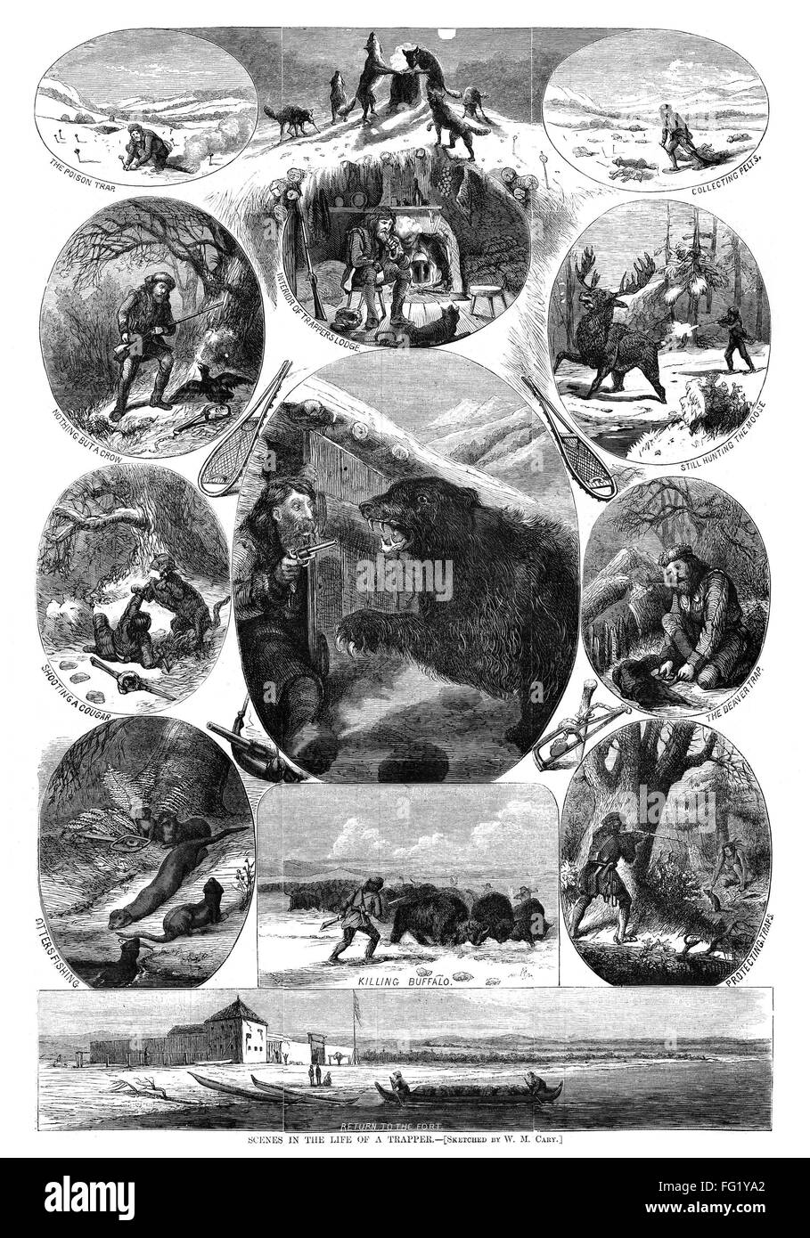 TRAPPER, 1868. /n'Scenes in the Life of a Trapper,' hunting wolves ...