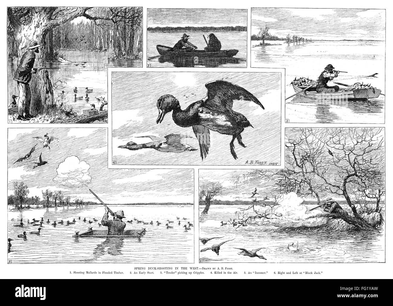 DUCK HUNTING, 1885. /n'Spring Duck-Shooting in the West.' Engraving ...