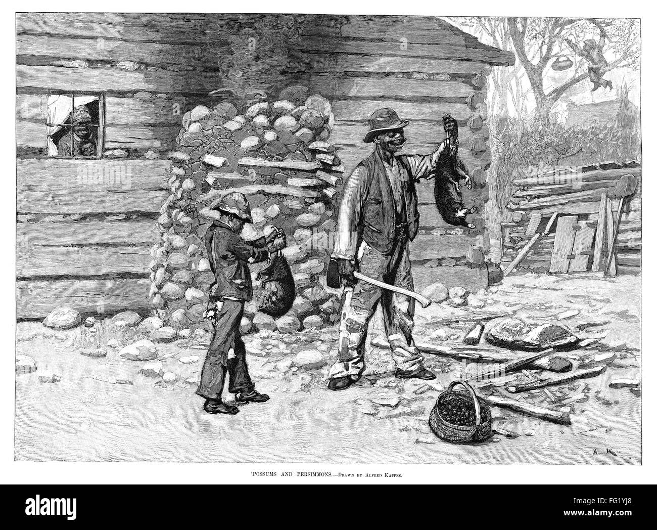 OPOSSUM HUNTERS, 1885. /n''Possums and Persimmons.' Engraving, American ...