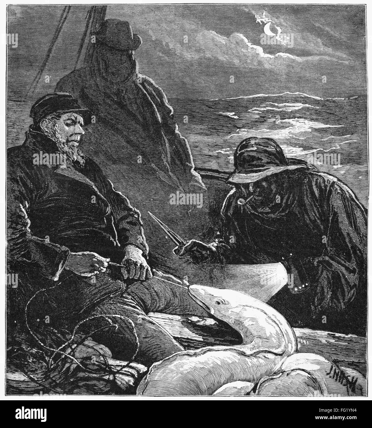 EEL FISHING, 1883. /nFishermen pulling in a conger eel off the coast of ...