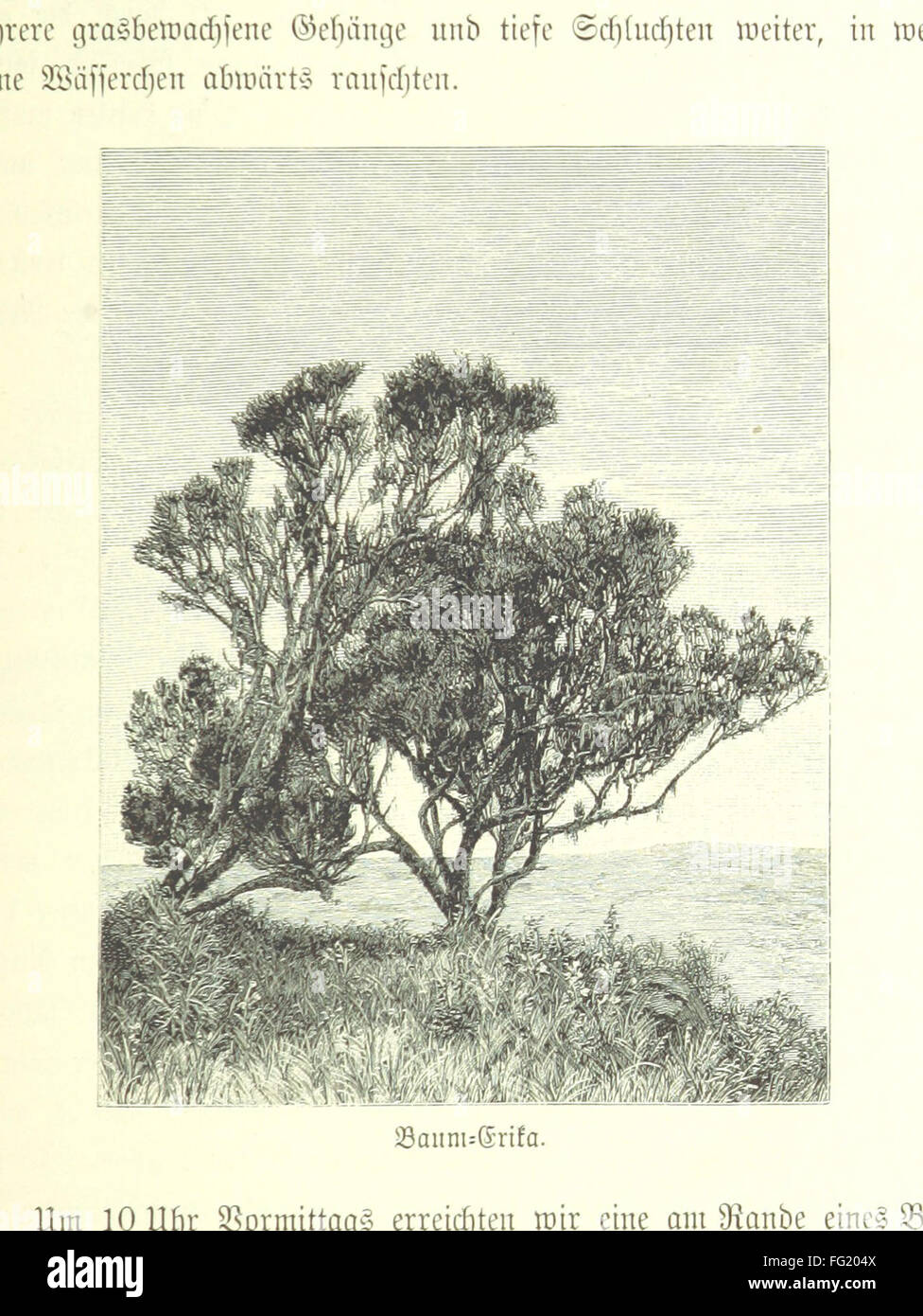 'Zum Rudolph-See und Stephanie-See' is a vintage account of Count S ...