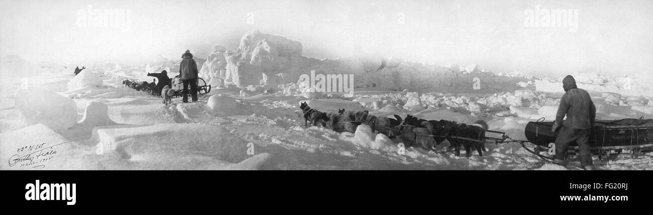 ZIEGLER POLAR EXPEDITION. /nDog sled teams of the Ziegler Polar ...