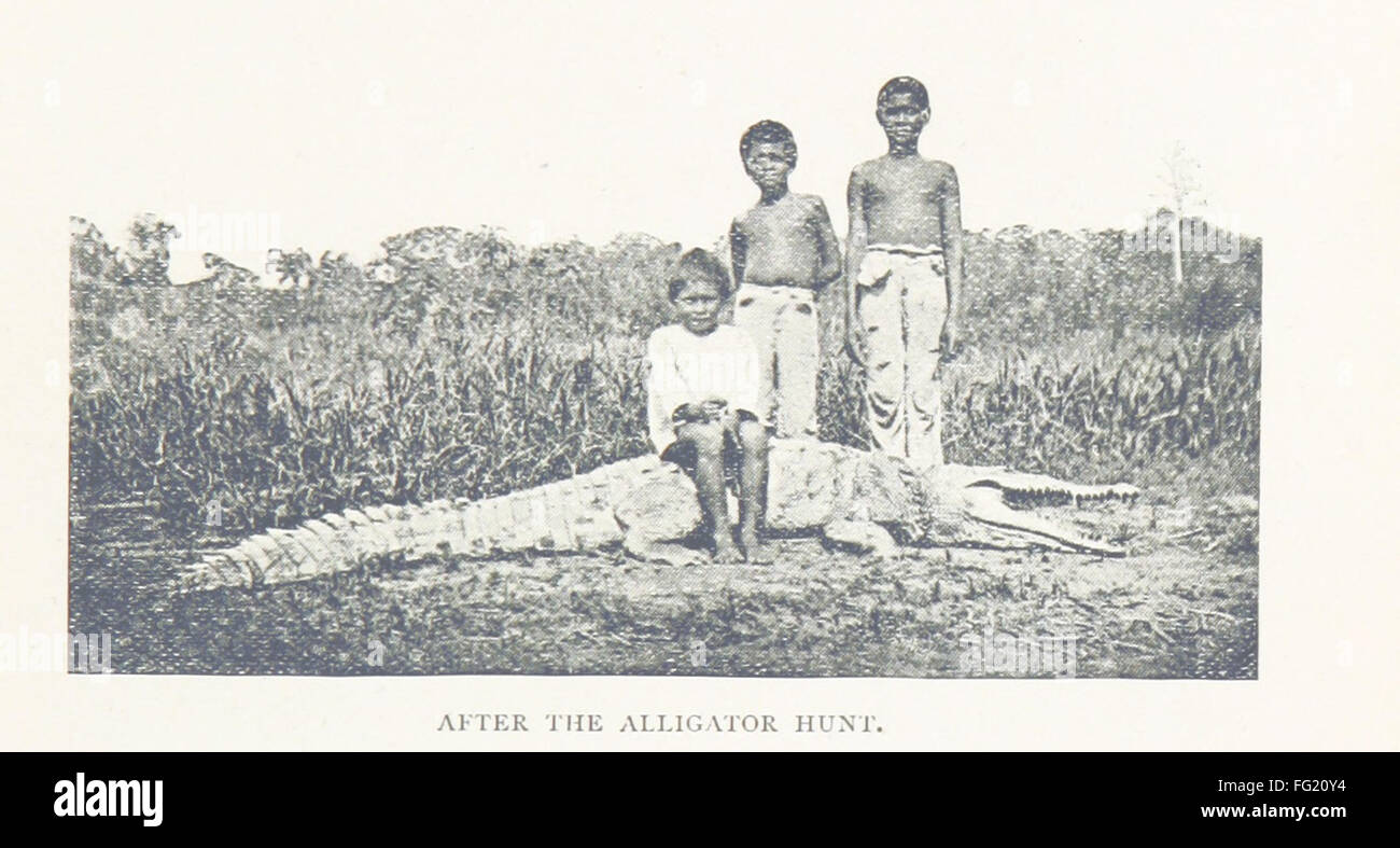 'Travels and Adventures of an Orchid Hunter' documents the journey of ...