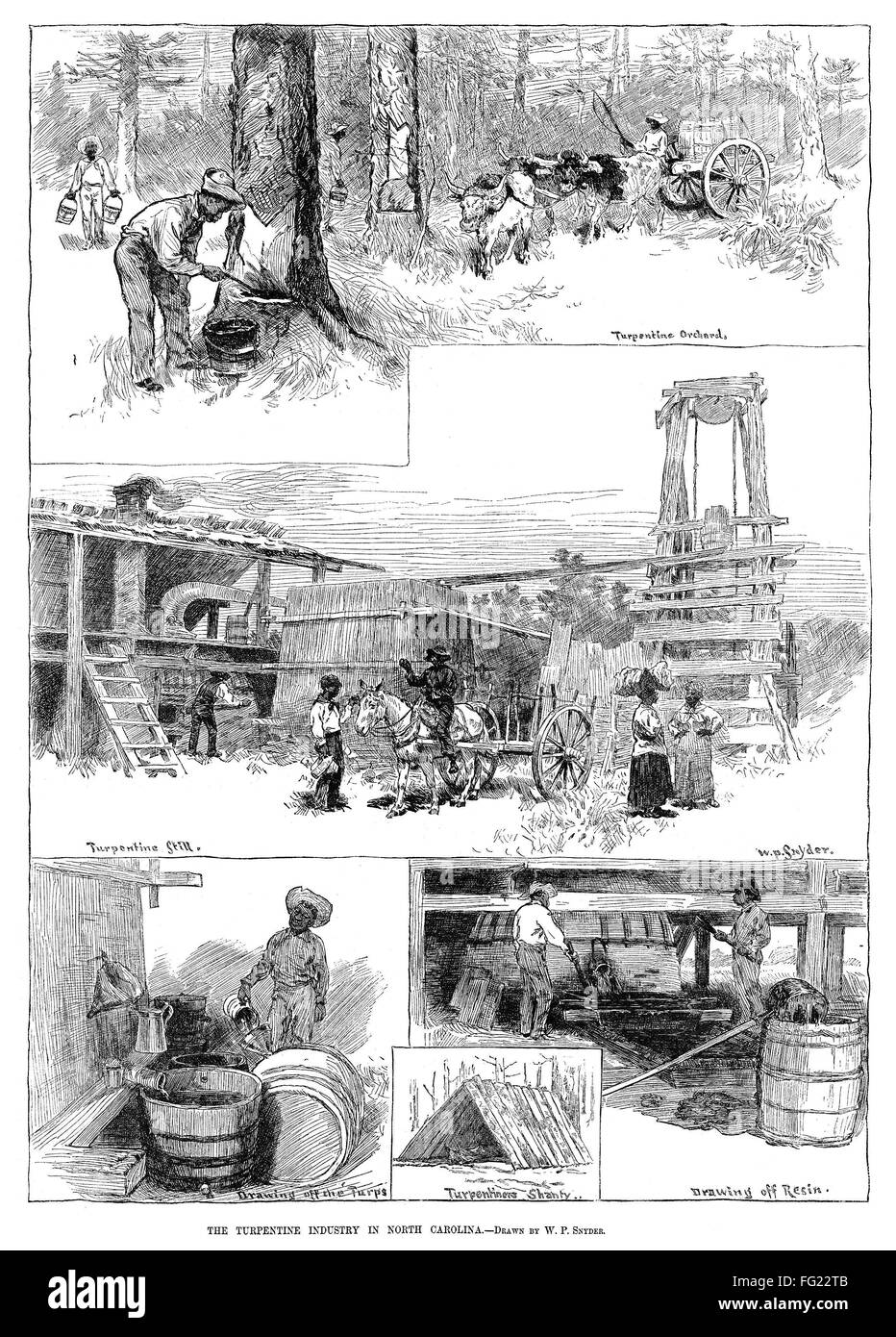 TURPENTINE INDUSTRY, 1884. /n'The turpentine industry in North Carolina ...