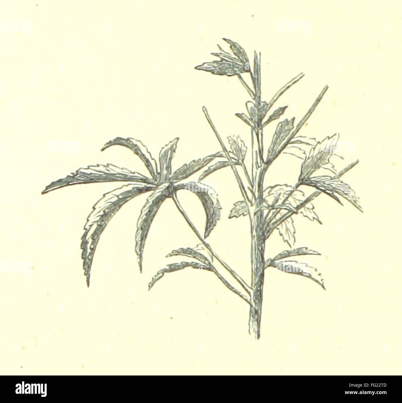 'Lays of Ind' is a collection of poetry that captures the spirit and ...
