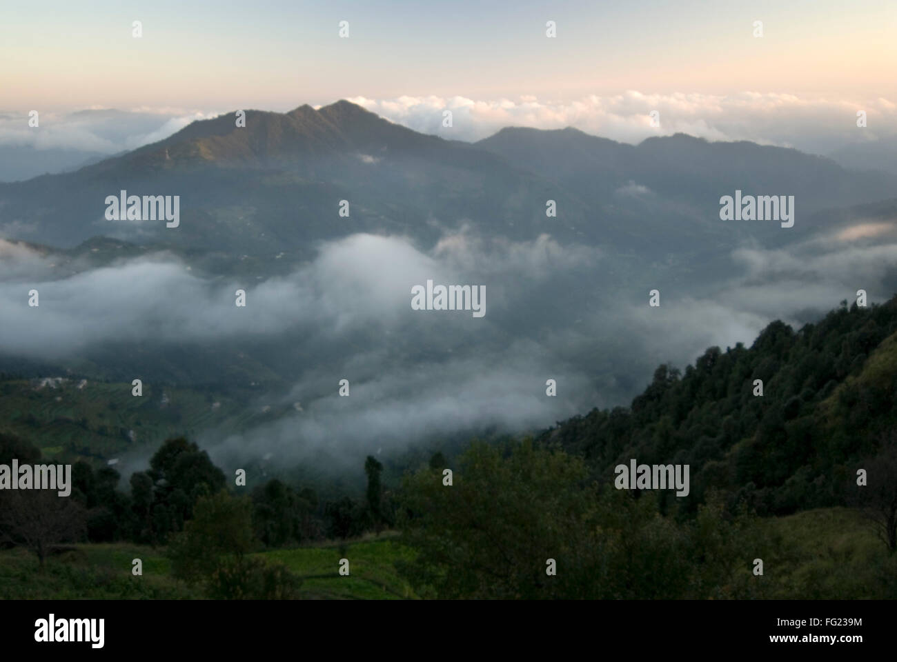 Valley at twilight from Kaddukhal hill station , Uttaranchal , India ...