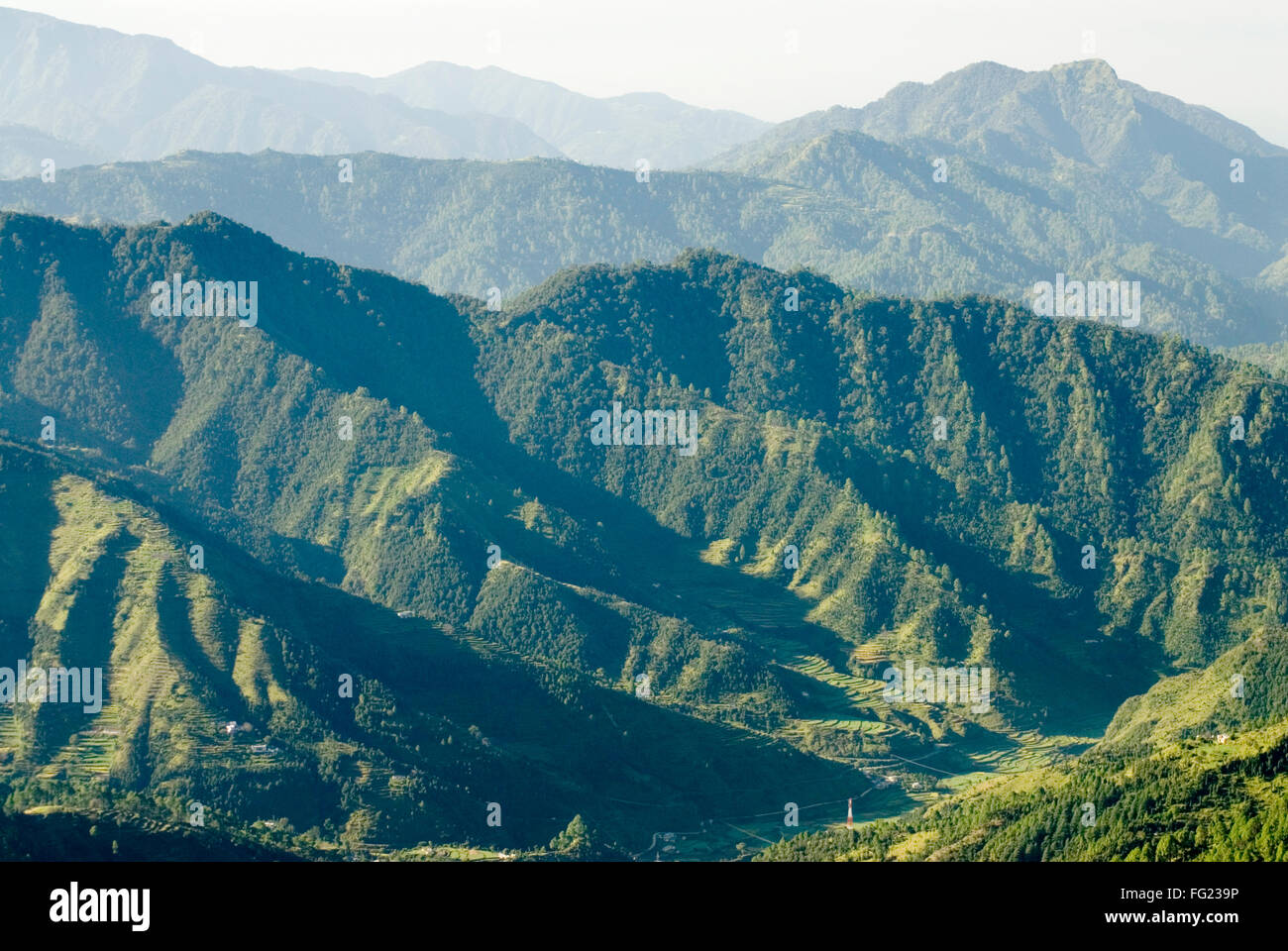 Green valley in morning light from Kaddukhal hill station , Uttaranchal ...