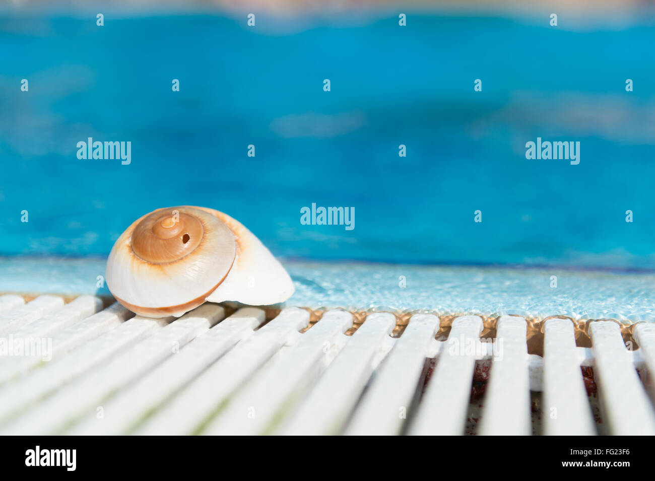 Shell pool hi-res stock photography and images - Alamy