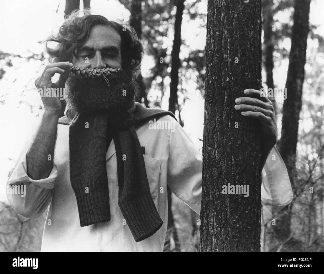 HIPPIE MOVEMENT, 1971. /nA hippie man stands by a tree sniffing a pine ...
