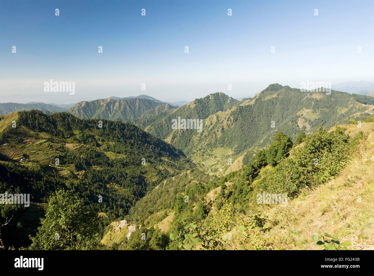 Green valley from Kaddukhal hill station , Uttaranchal , India Stock ...