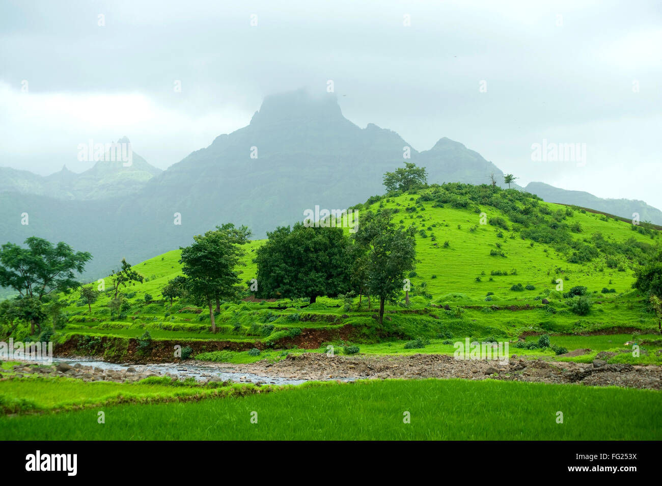 Landscape in monsoon and mountain chanderi at Panvel ; district Raigadh ...
