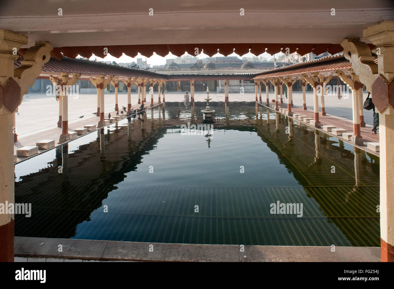 225304 hi-res stock photography and images - Alamy