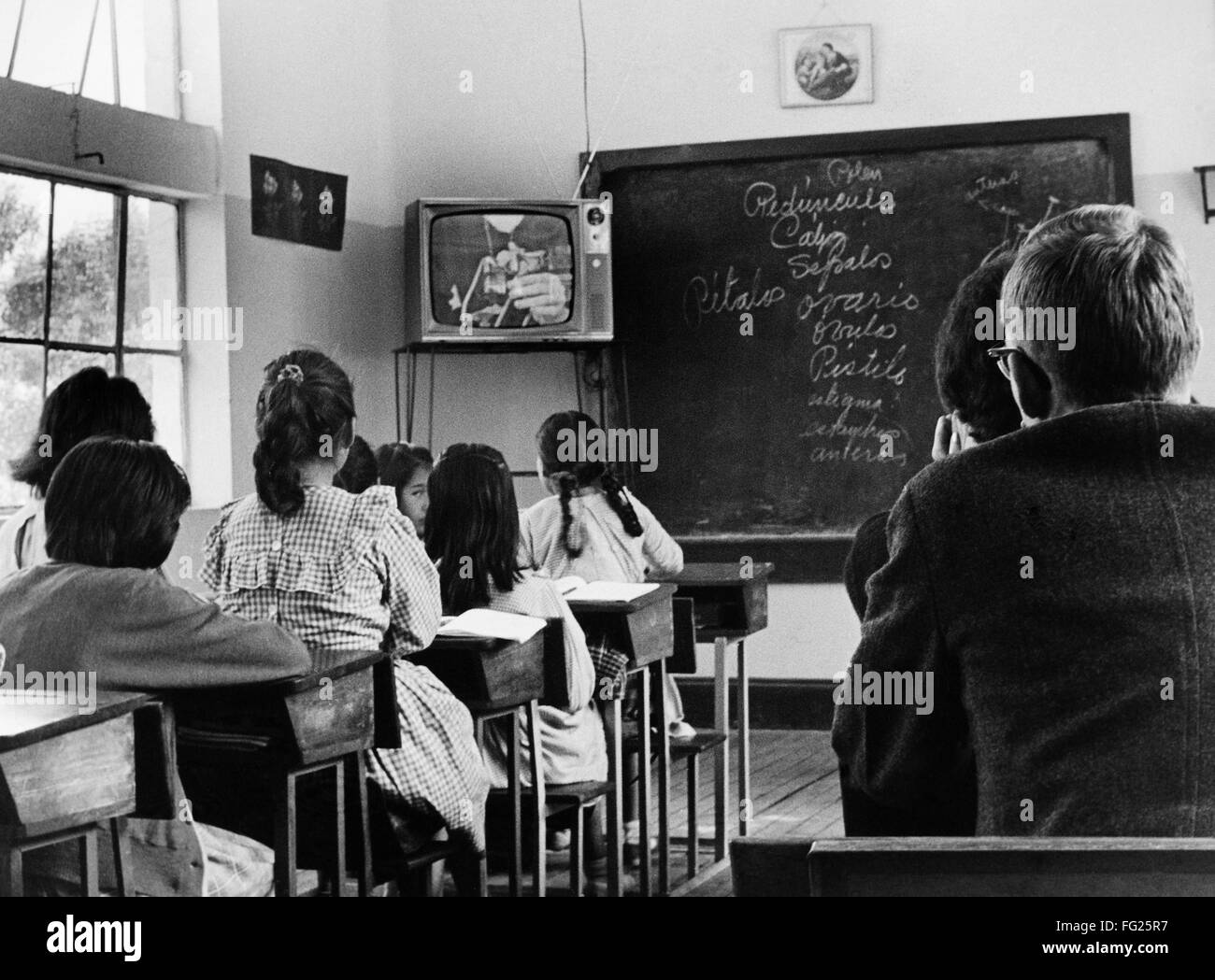 COLUMBIA: CLASSROOM. /nElementary school children learning with a ...
