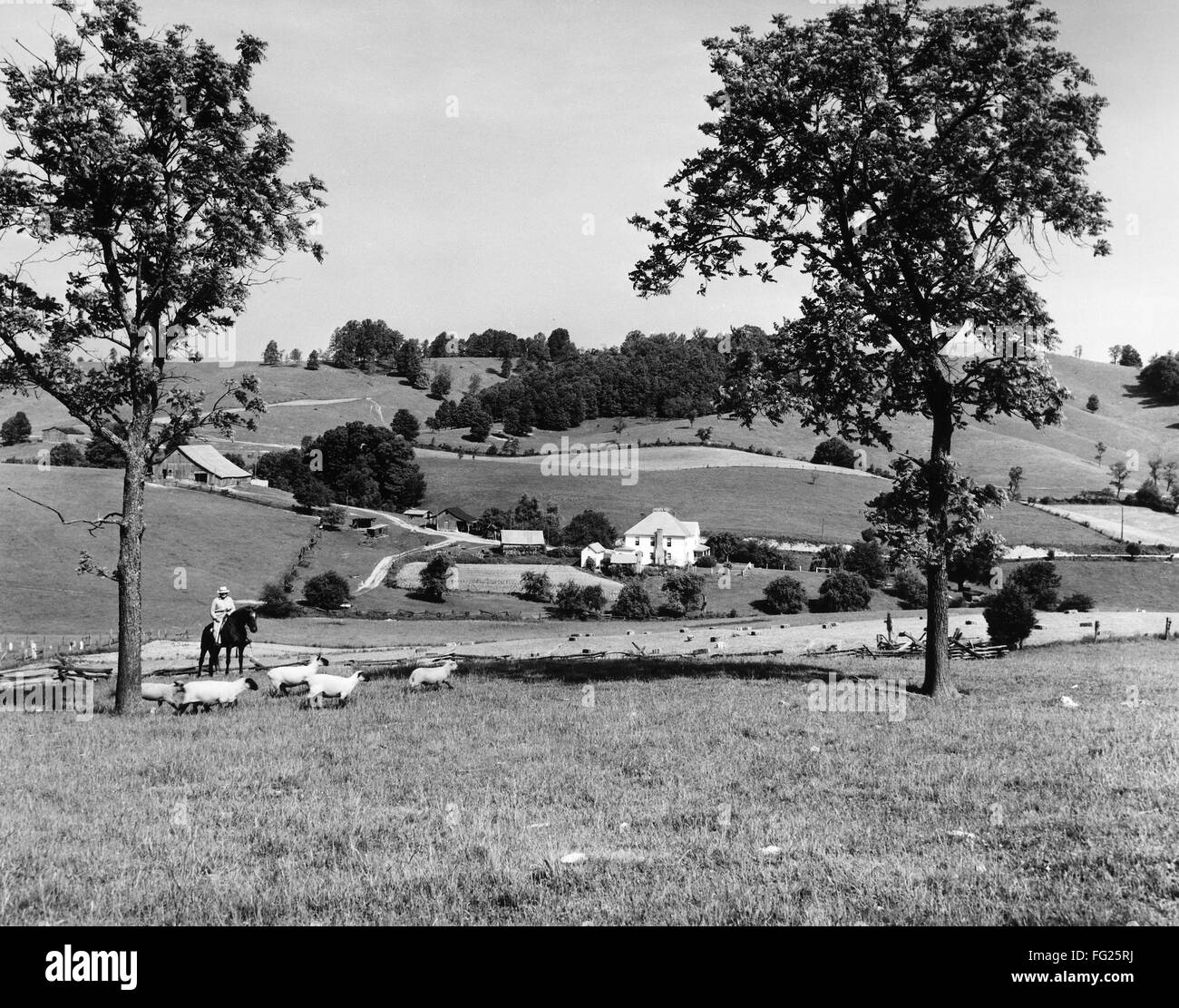 VIRGINIA: RUSSELL COUNTY. /nFarmland in Russell County, Virginia, part ...