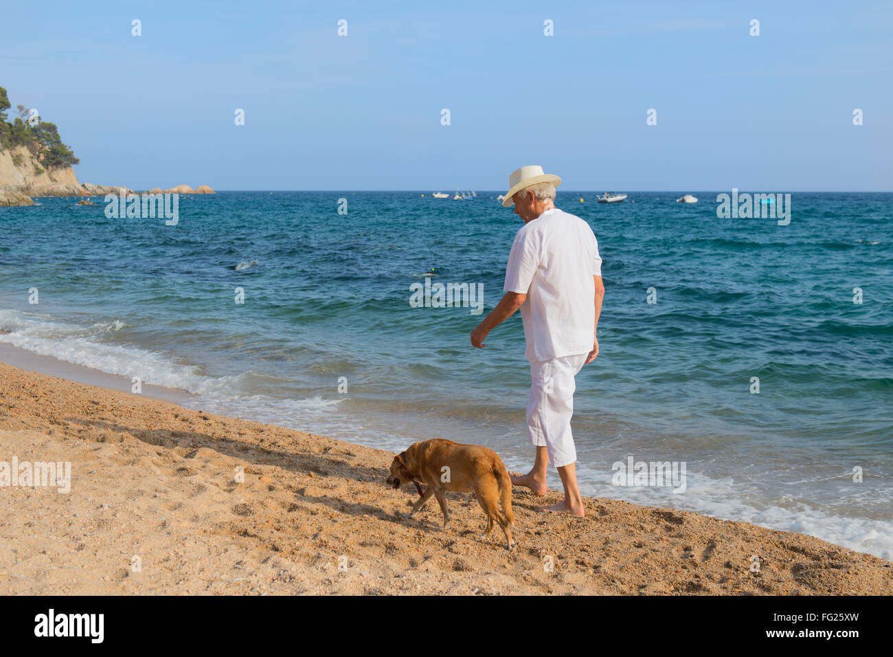 Old man walking dog hi-res stock photography and images - Alamy