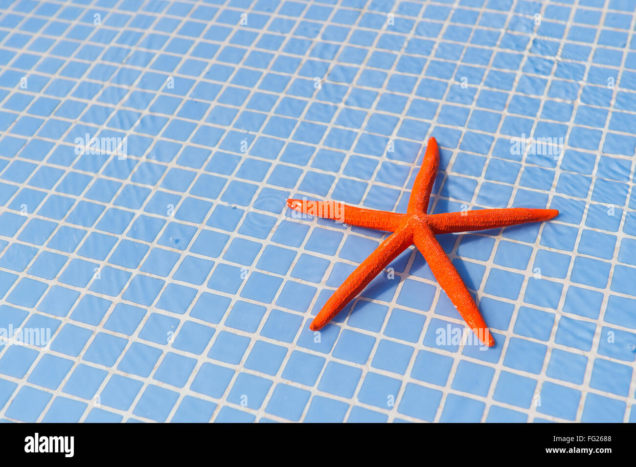 Swimming pool tiles hi-res stock photography and images - Alamy