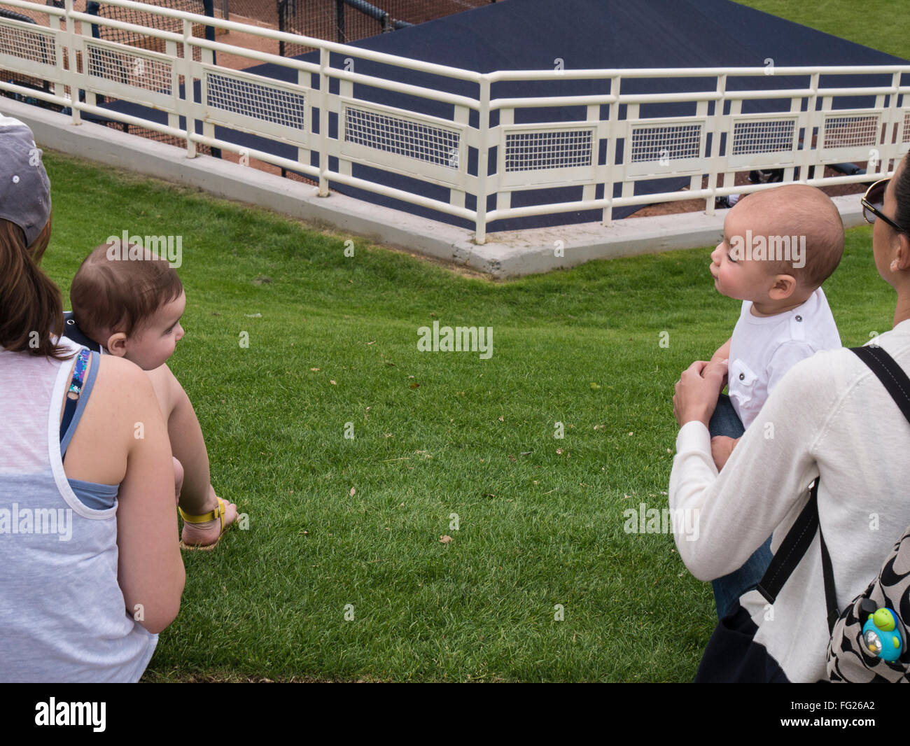 Infant fans at spring training baseball game, Maryvale Baseball Park ...