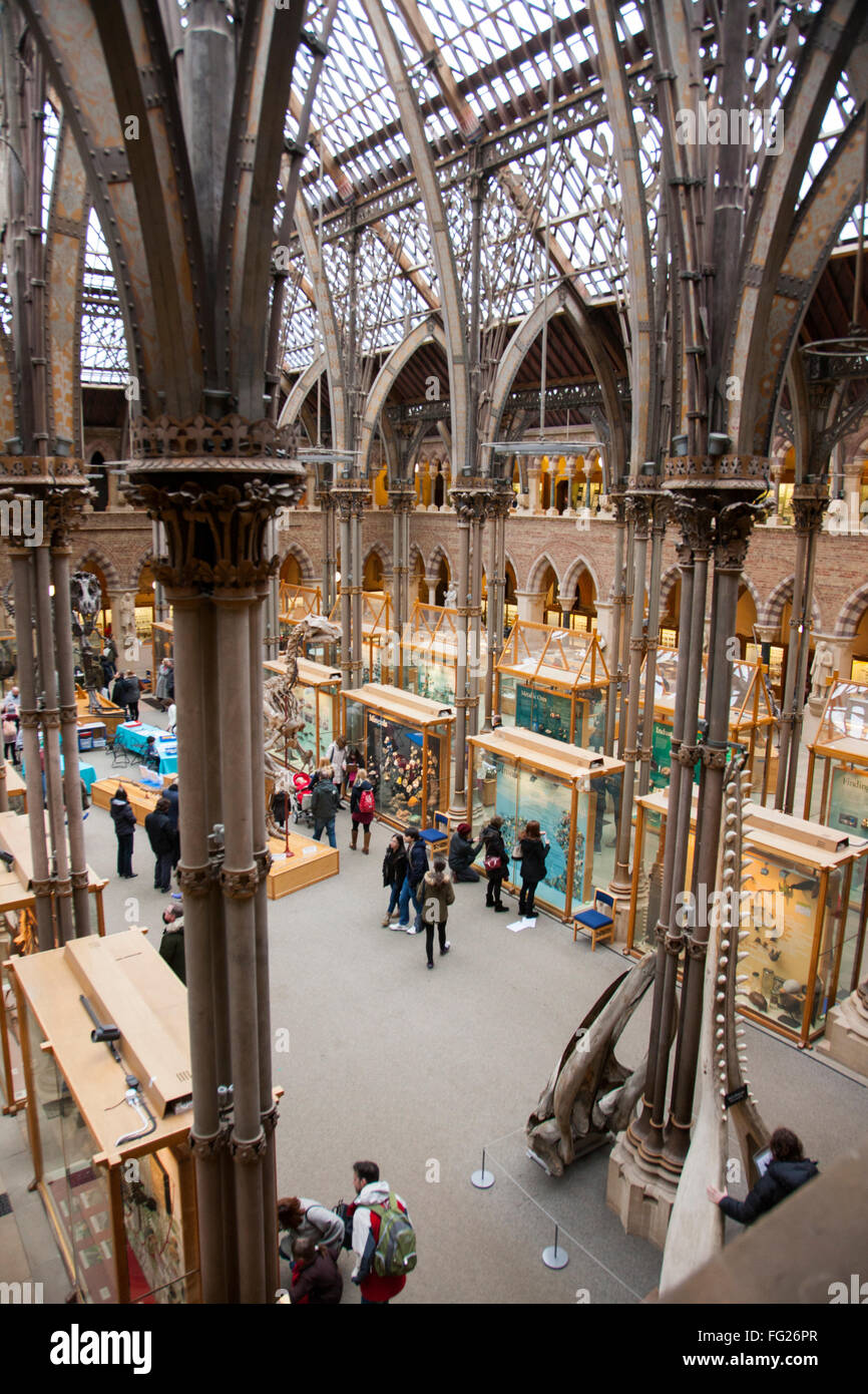 Photo from a high elevated position of / in the main gallery of The Oxford University Museum of ...