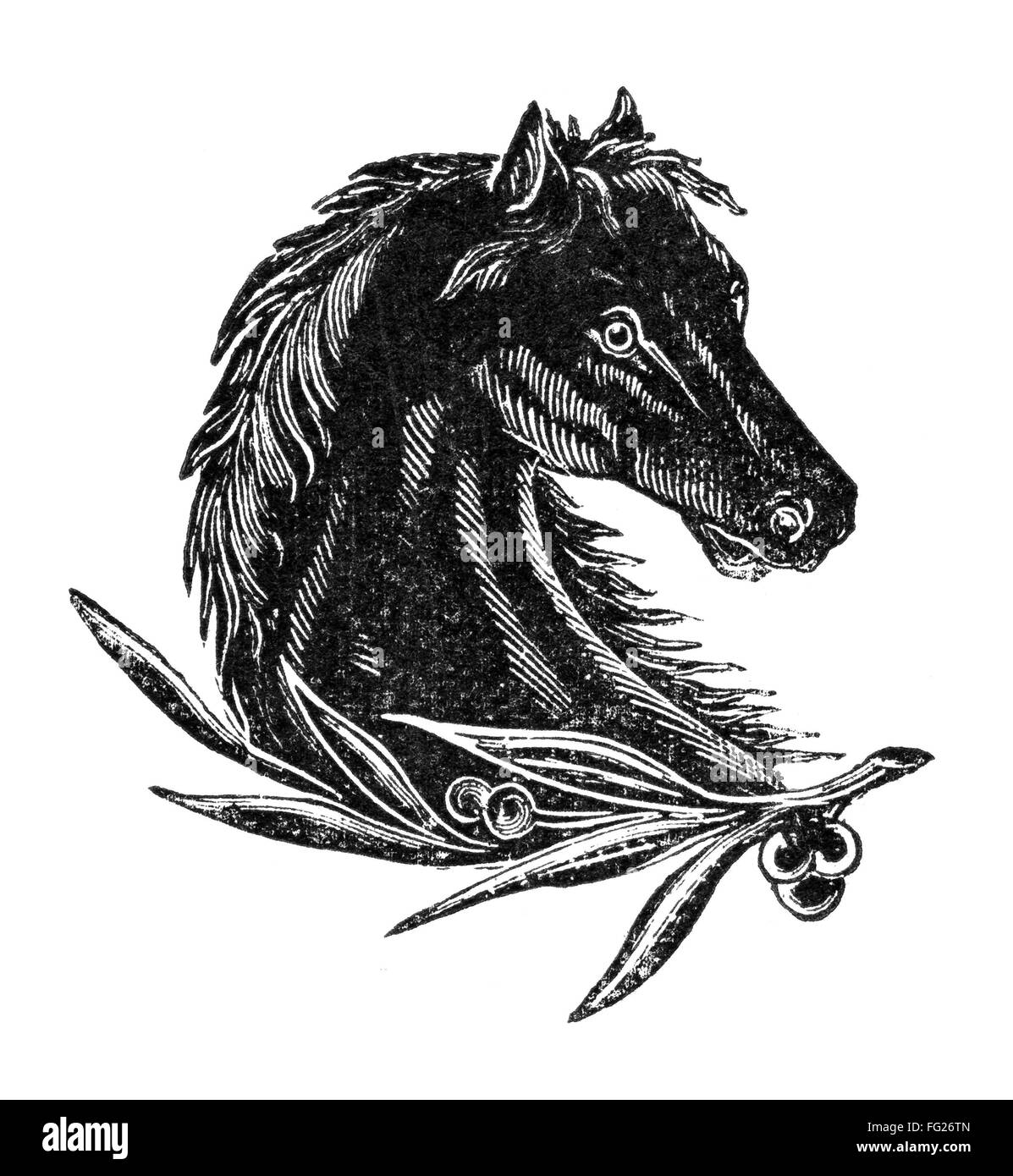 HORSE, 19th CENTURY. /nMetal typefounder's cut by The United States ...