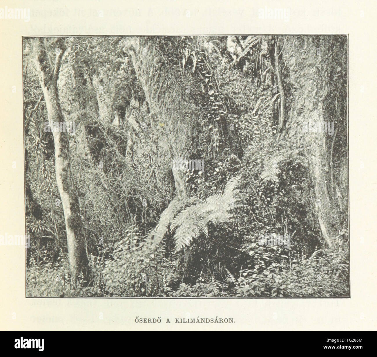 This Hungarian work by Samuel Teleki details his expedition through ...