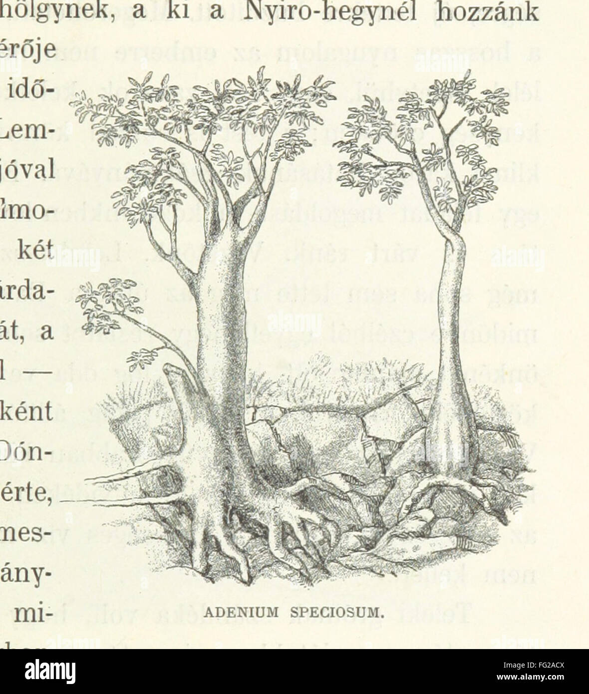 This Hungarian book details the exploration journey of Samuel Teleki in ...