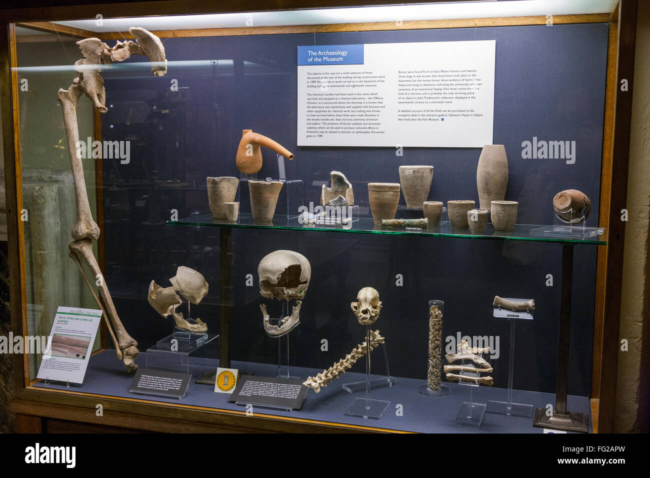 Display case of archaeology exhibits / exhibit / exhibition. Museum of ...