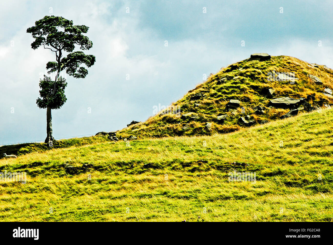 Bronte Country Yorkshire, West Riding Stock Photo - Alamy