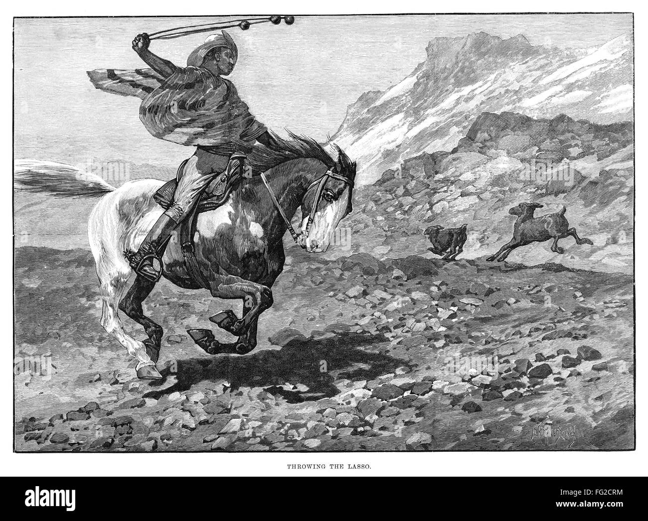 SOUTH AMERICAN HUNTER. /n'Throwing the Lasso.' A South American guacho ...