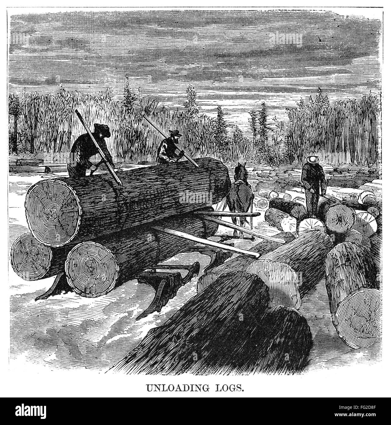 MINNESOTA: LOGGING, 1870. /nLumberjacks unloading logs from a sled, in ...