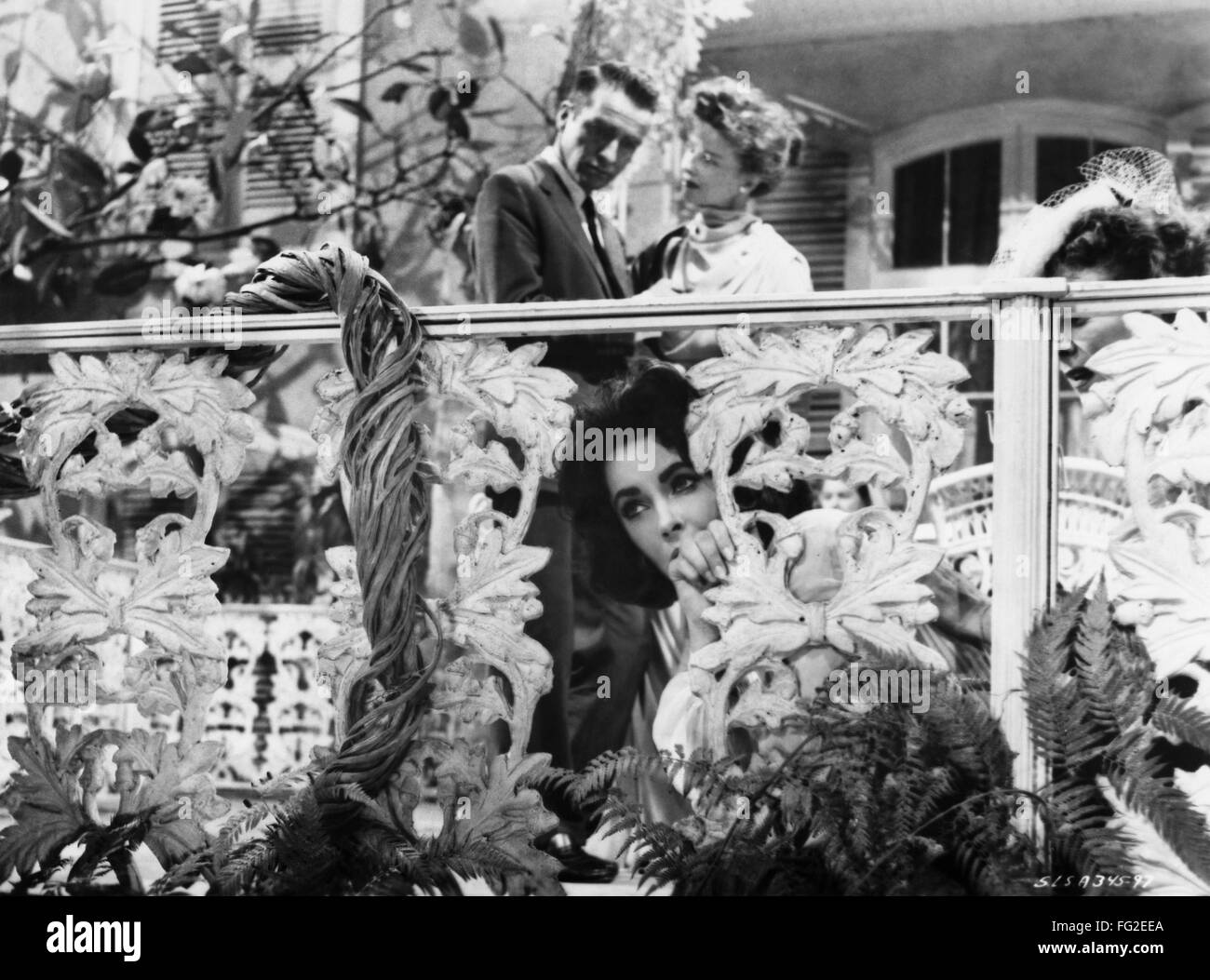 SUDDENLY LAST SUMMER, 1959. /nElizabeth Taylor, Montgomery Clift, and ...