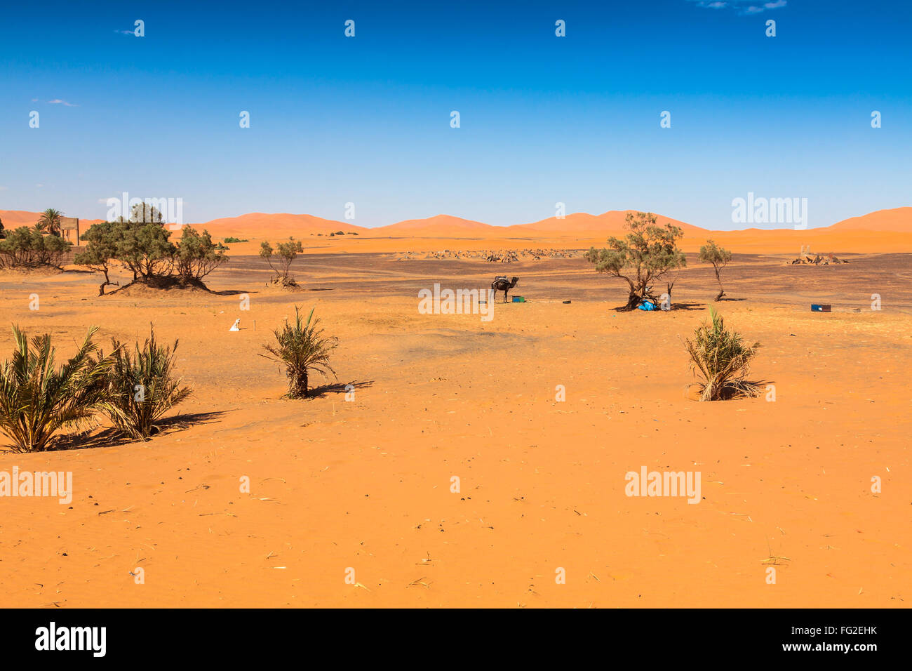 Seif dunes High Resolution Stock Photography and Images - Alamy