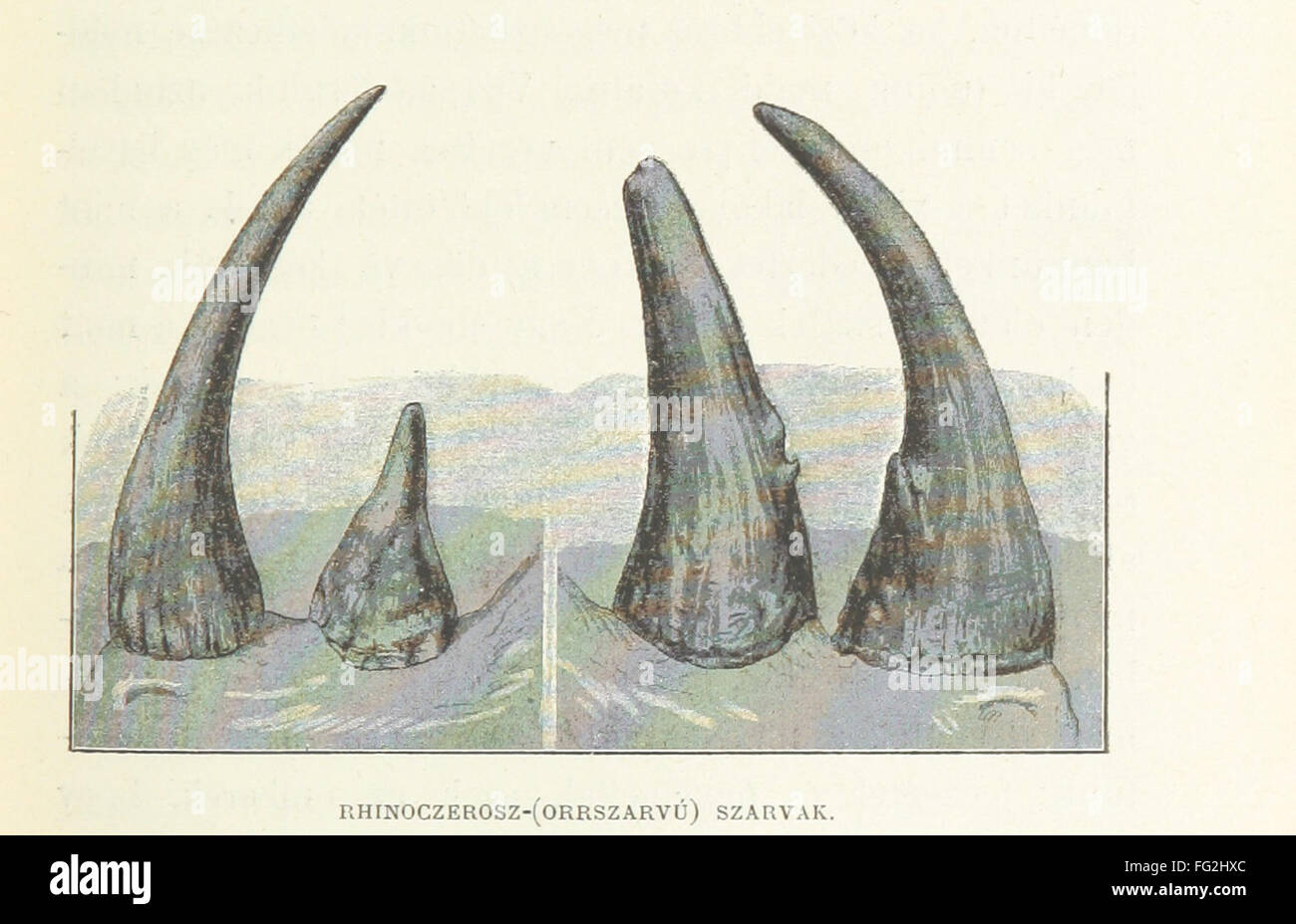 Teleki samuel hi-res stock photography and images - Alamy