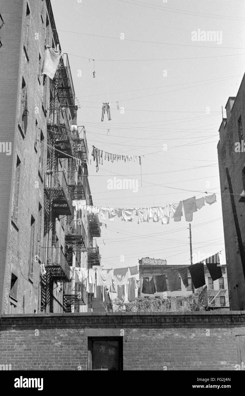 EVANS: NEW YORK, 1938. /nClotheslines hung between apartment buildings ...