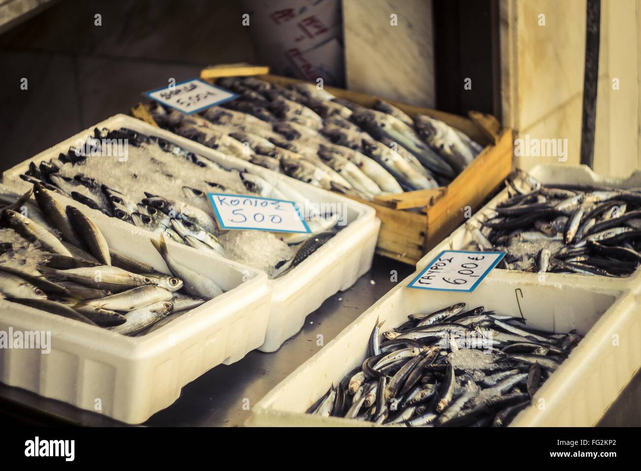 Assortment of fish hi-res stock photography and images - Alamy