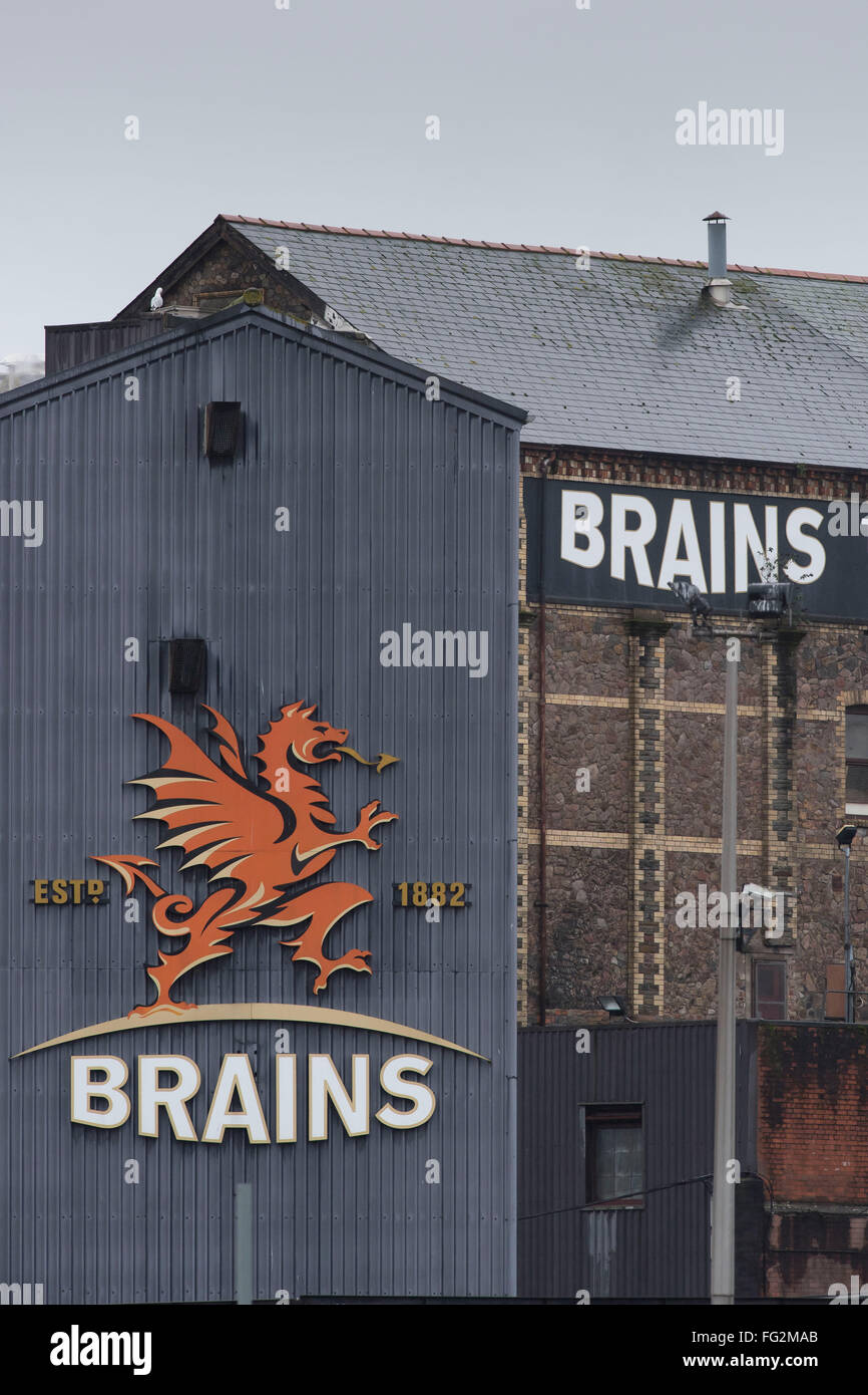 Brains beer hi-res stock photography and images - Alamy