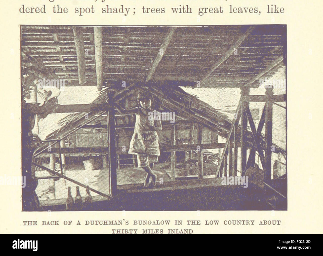 A travel book exploring the cultures and landscapes of Ceylon (Sri ...