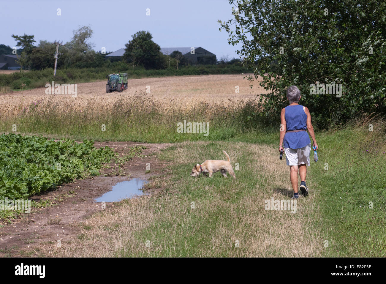Pleasant countryside walk hi-res stock photography and images - Alamy