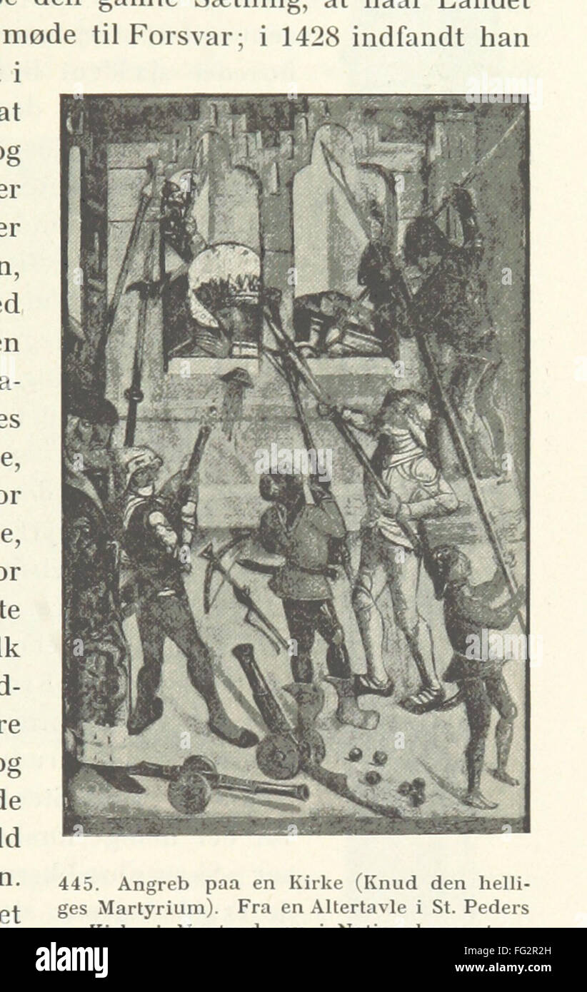 A historical book detailing the history of Denmark, written by various ...