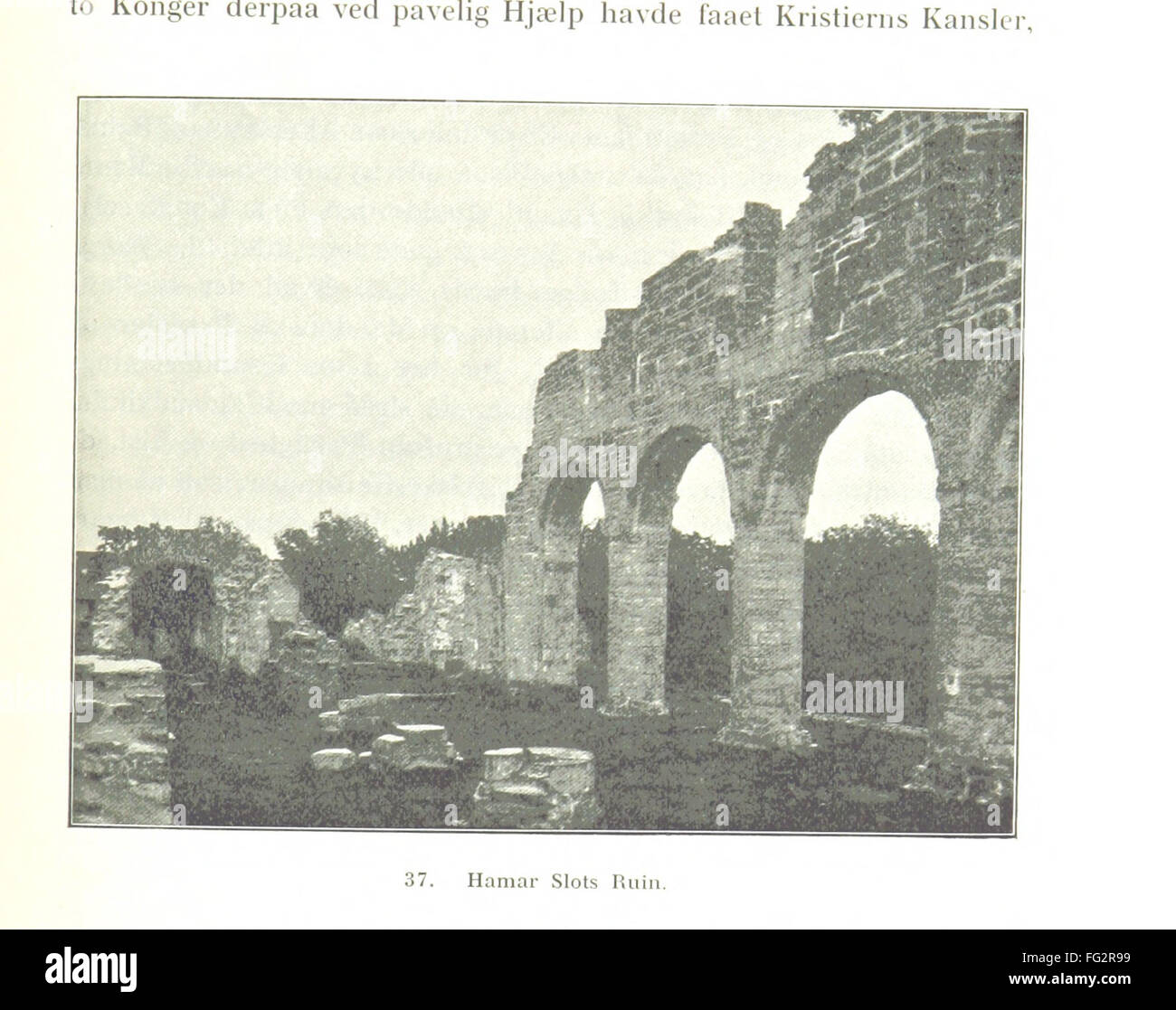 'Danmarks Riges Historie' is a Danish-language vintage book detailing the history of Denmark ...