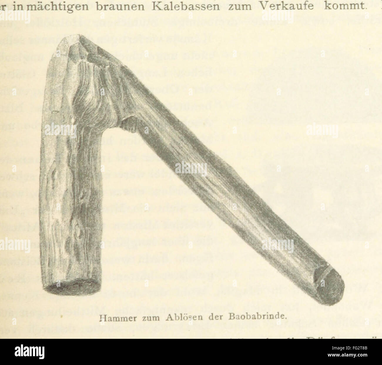 This book provides an overview of Usambara and its neighboring regions ...