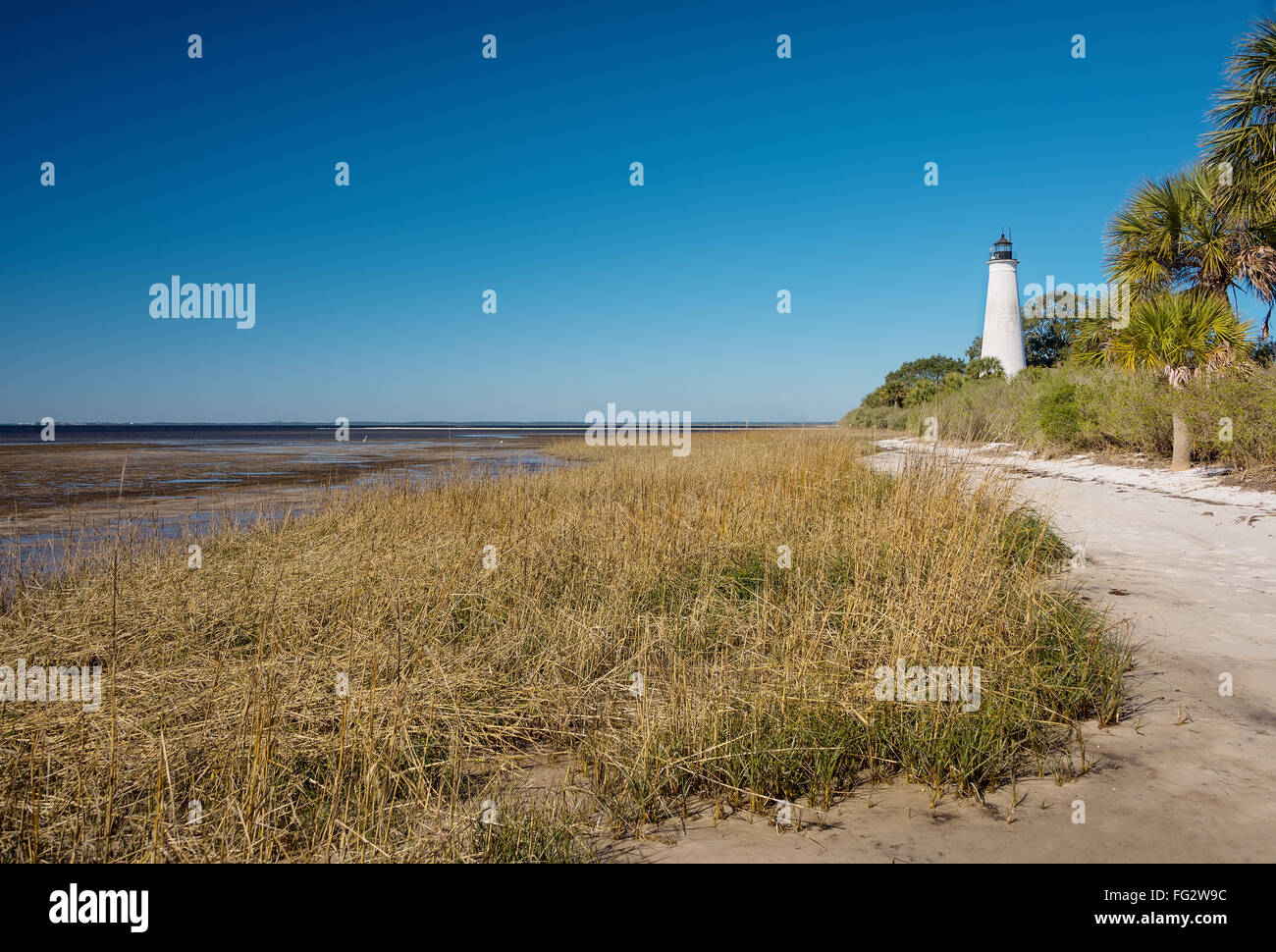 St marks river florida hi-res stock photography and images - Alamy