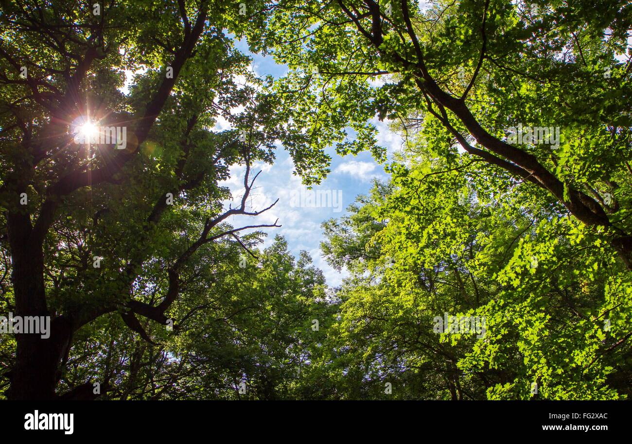 Illuminated canopies hi-res stock photography and images - Alamy