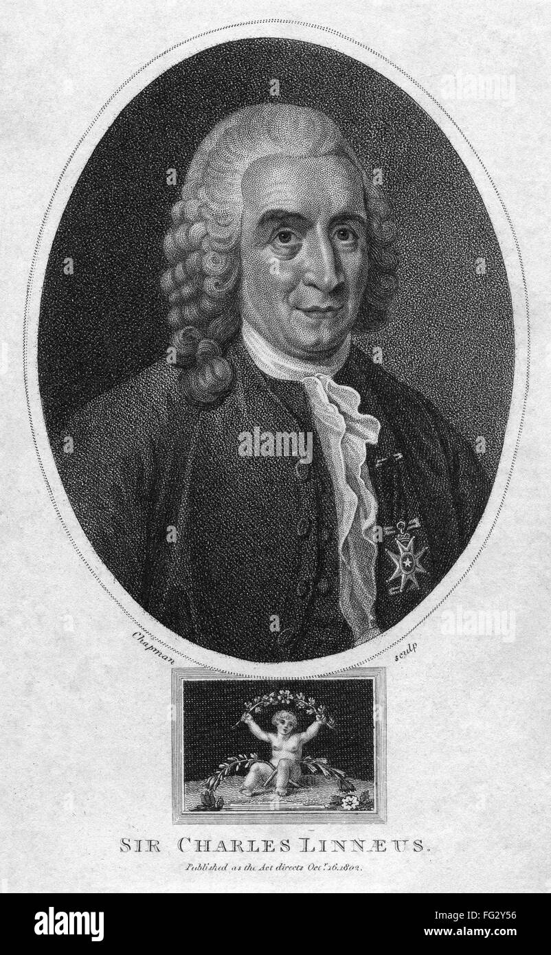 CAROLUS LINNAEUS (1707-1778). /nSwedish botanist. Stipple engraving ...