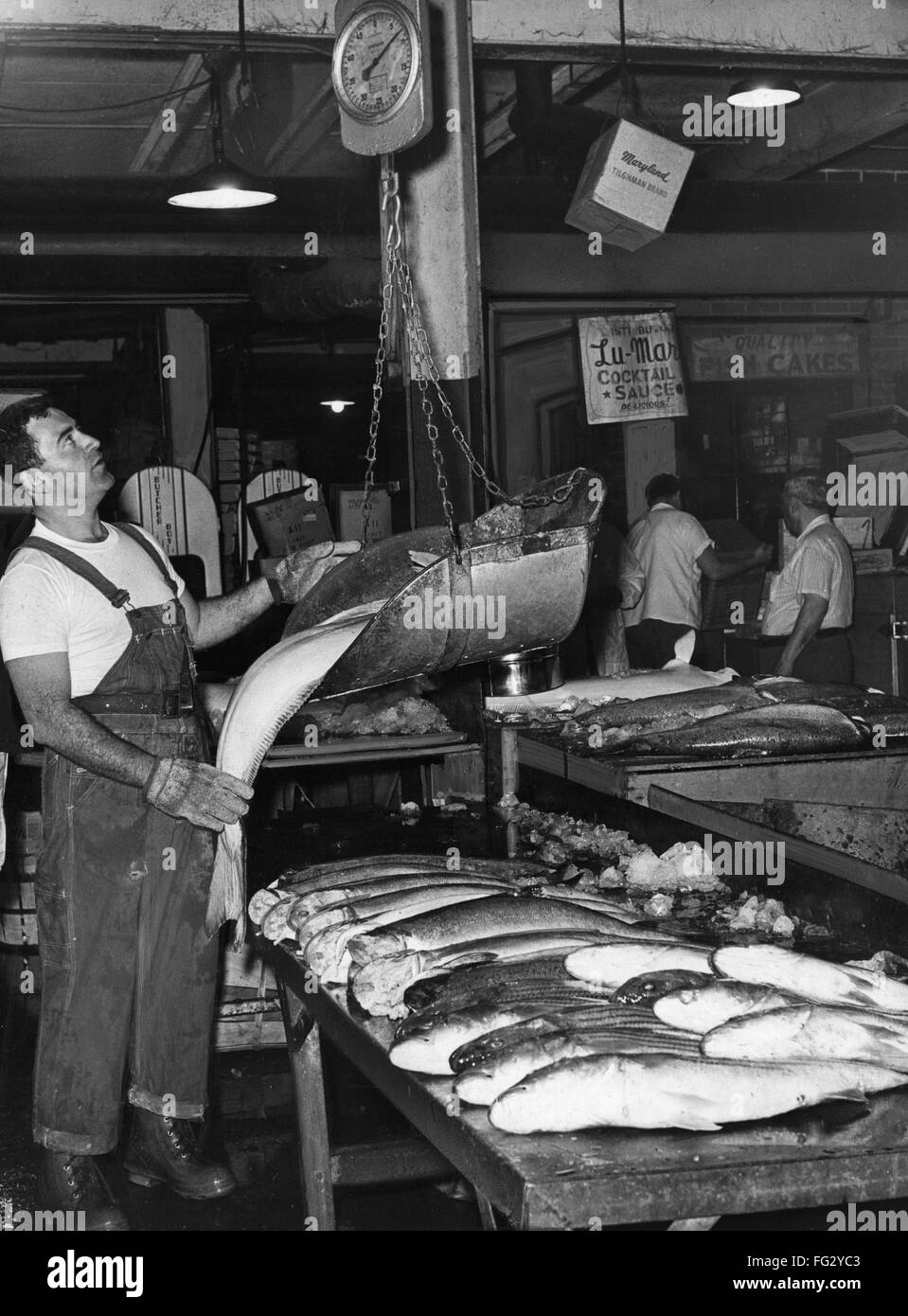 FULTON FISH MARKET, 1963. /nA man weighing fish on a scale at the ...