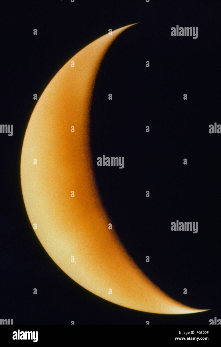 VENUS, 1978. /nVenus, photographed by the Pioneer Venus Orbiter, 1978 ...
