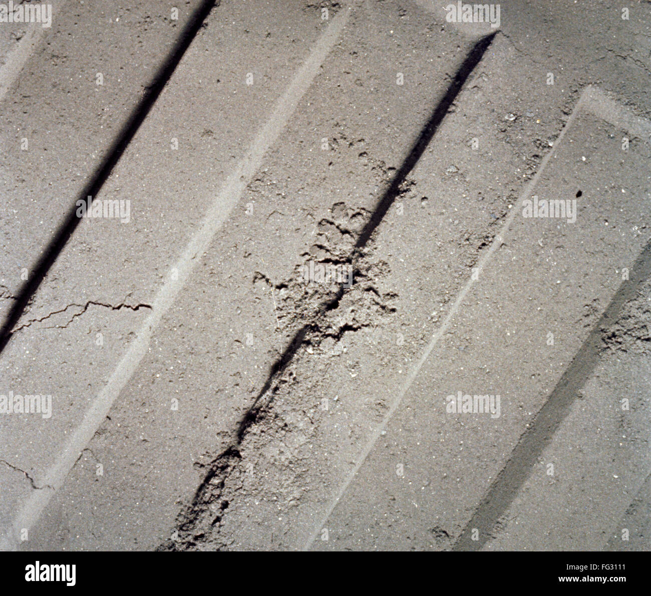 APOLLO 12: FOOTPRINT, 1969. /nClose up view of an astronauts footprint ...