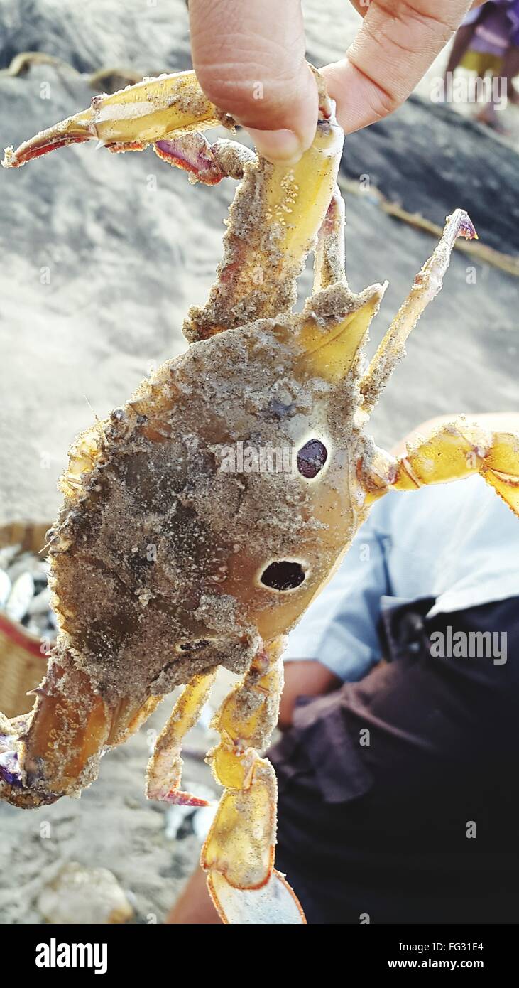Crab Man Stock Photos & Crab Man Stock Images - Alamy