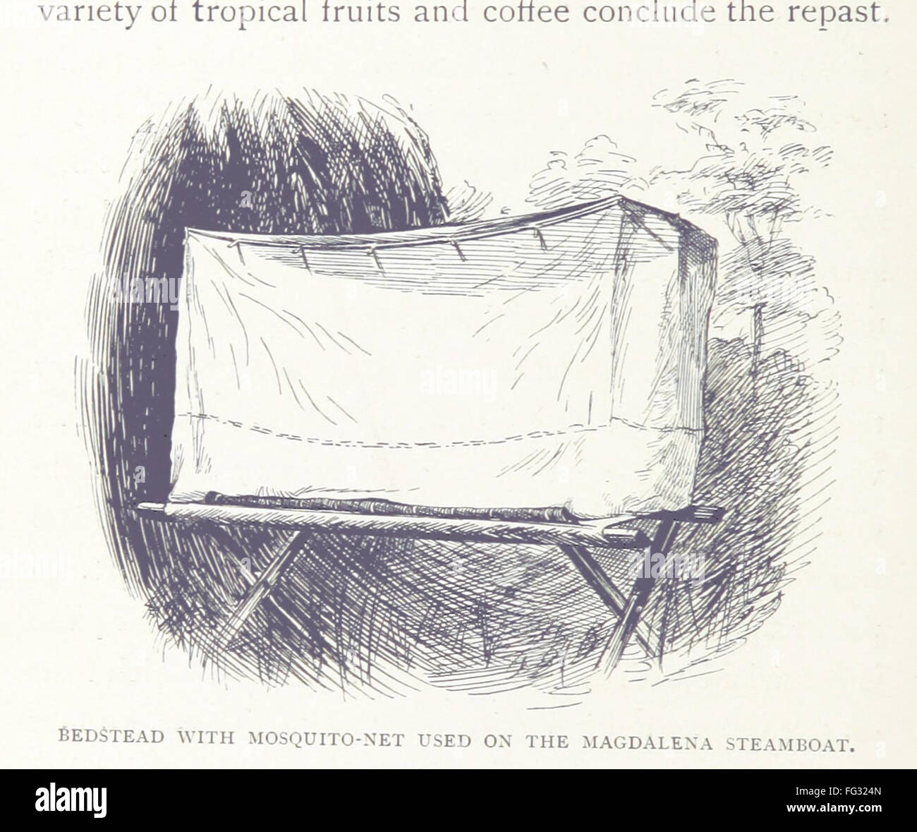 This vintage book recounts the travels and adventures of an orchid ...