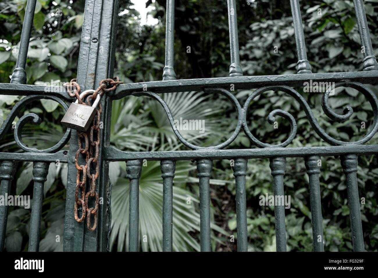 Low Metal Gate High Resolution Stock Photography and Images - Alamy