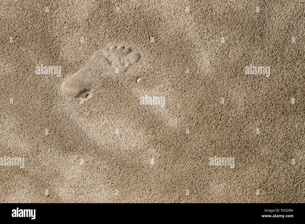 Footprints in the sand, Footprints in the sand at sunset-nature ...